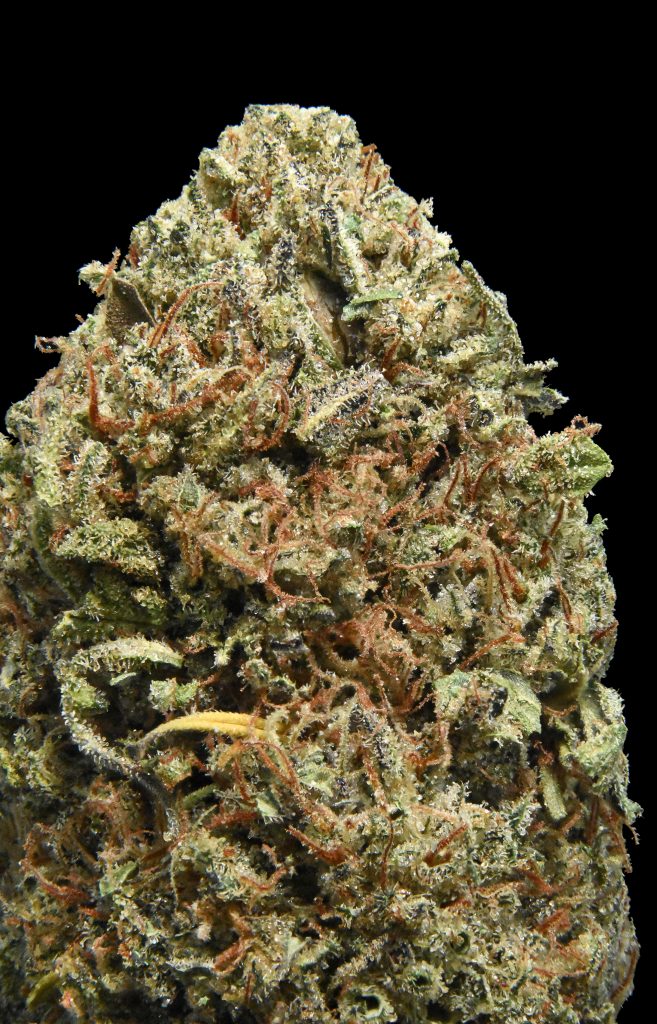 Lemon Octane 2023 • Oregon CBD, Hemp & Delta-8 • Award Winning Strains