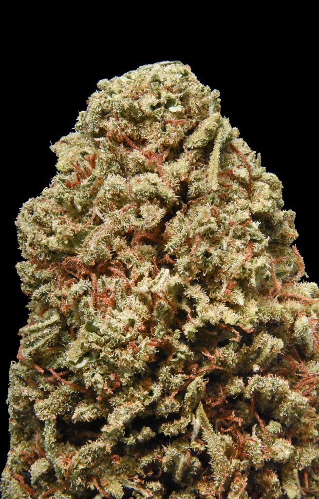 Super Sour Lifter 2023 • Oregon CBD, Hemp & Delta-8 • CBD Flower